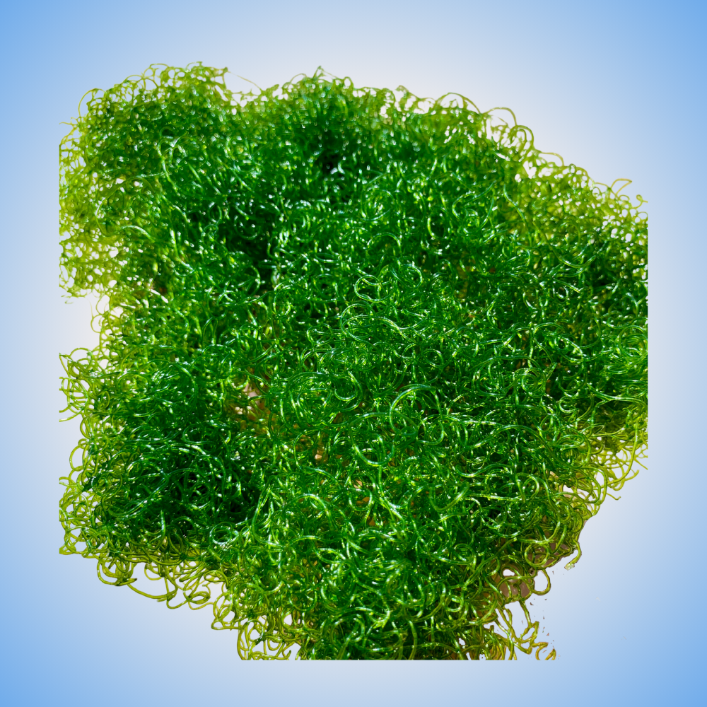 Tetraselmis - Algae Depot®